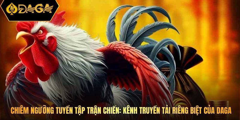 Chiêm ngưỡng tuyển tập trận chiến: Kênh truyền tải riêng biệt của DAGA