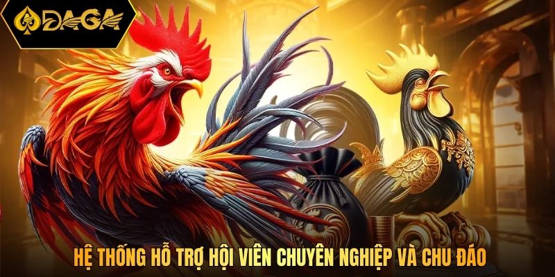 Hệ thống hỗ trợ hội viên chuyên nghiệp và chu đáo