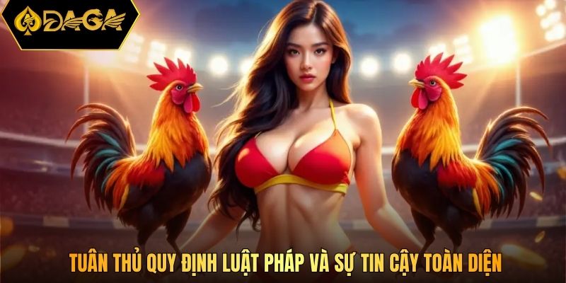 Tuân Thủ Quy Định Luật Pháp và Sự Tin Cậy Toàn Diện