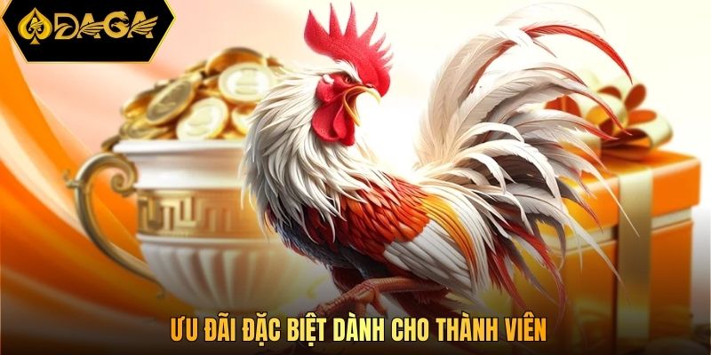 Ưu Đãi Đặc Biệt Dành Cho Thành Viên